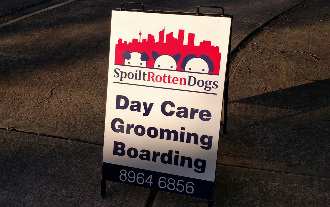 15 Best Dog Boarding in Sydney - Recommend Australia