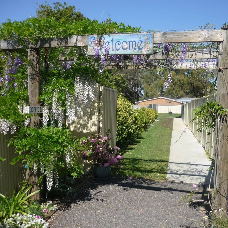 Top 15 Dog Boarding in Perth - Recommend Australia