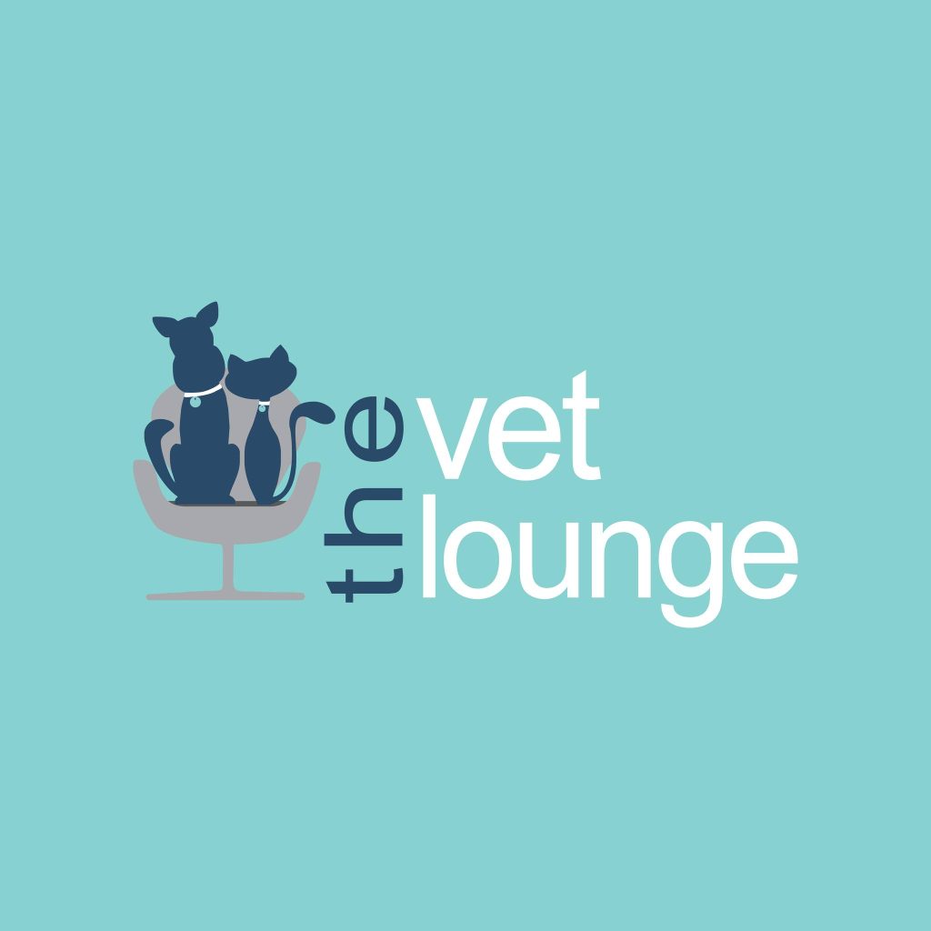 15 Best Dog Boarding Gold Coast - Gold Coast Dog Daycare